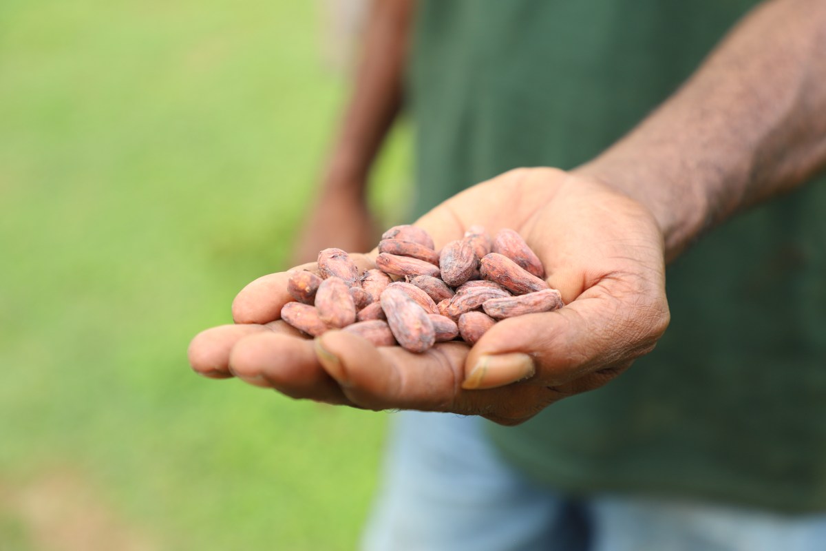 Products – Makira Gold